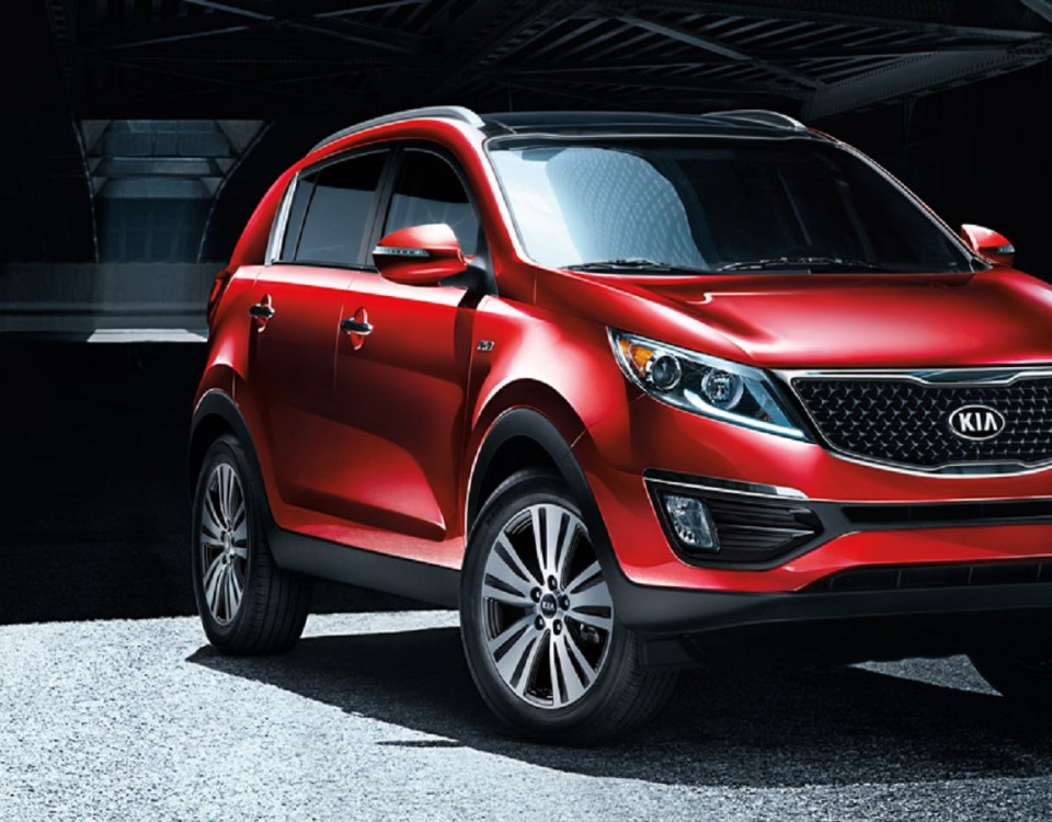 خدمات و محصولات | ایران تورینو